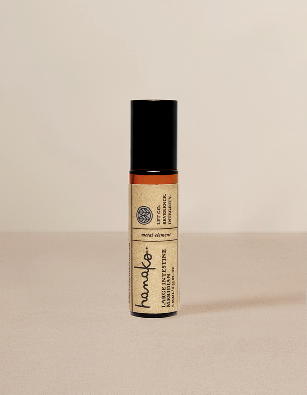 Large Intestine Meridian - Hanako Therapies